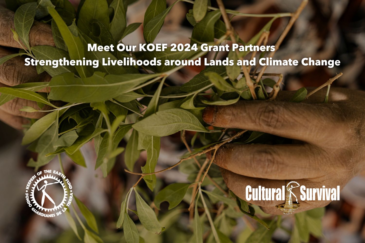 Meet Our KOEF 2024 Grant Partners Strengthening Livelihoods around ...