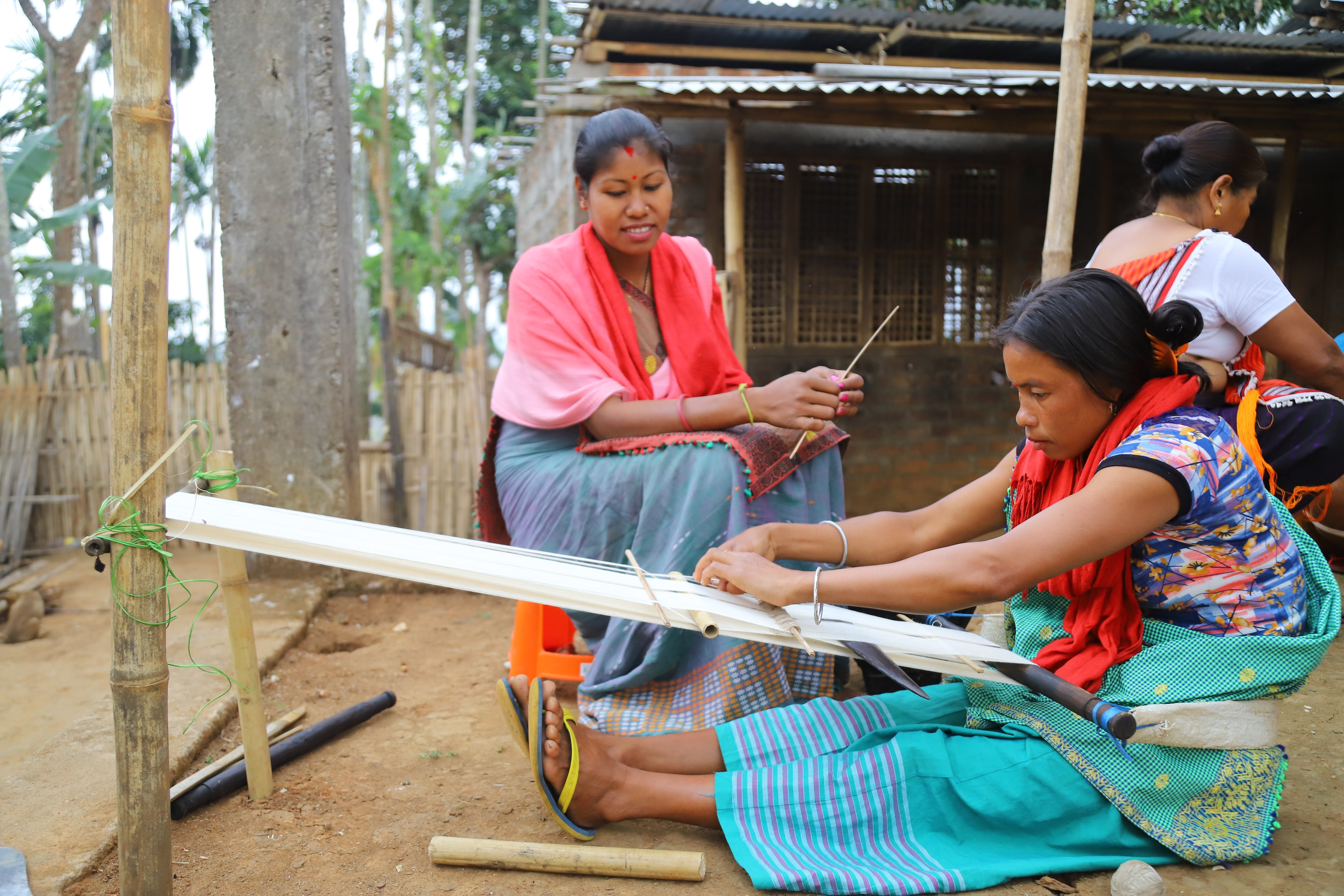 Cultural Survival Advocates for Indigenous Rights in India via the UN's ...