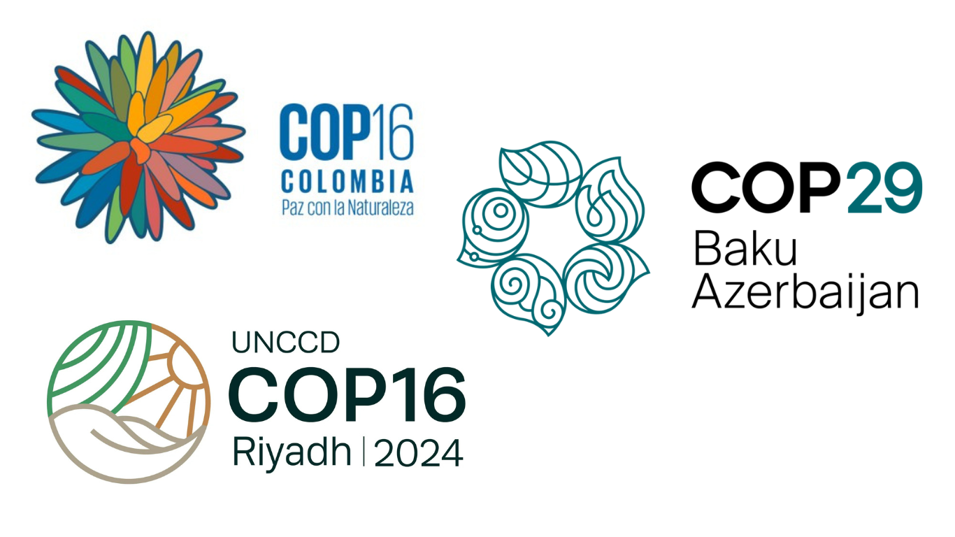 Conference of the Parties of Three UN Conventions of 2024: A Review of ...