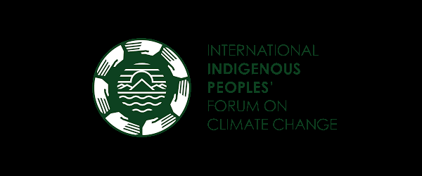 Indigenous Peoples Challenge Lack of Ambition and Rights at COP27 Close ...