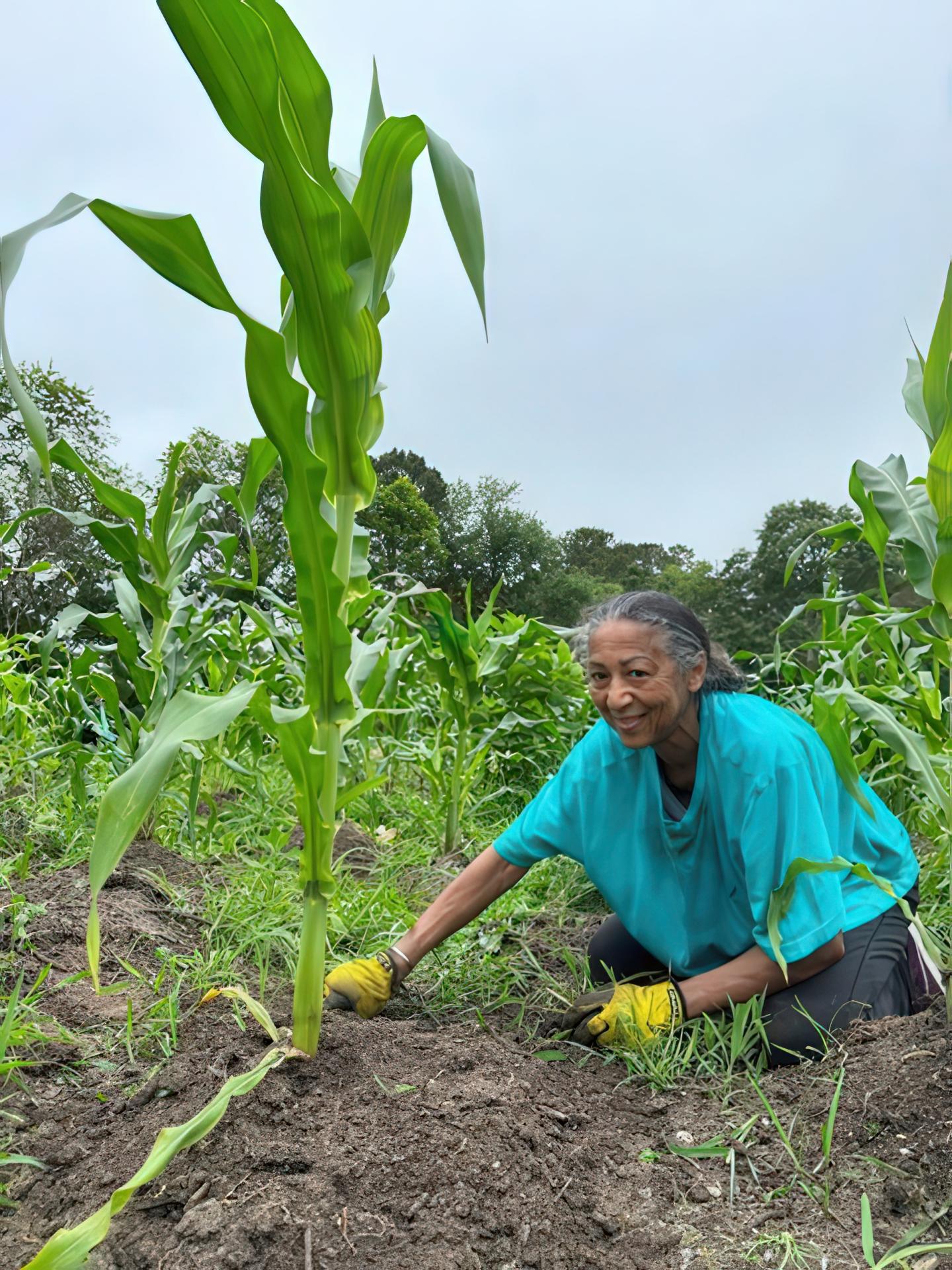 Corn Sister Circle: Honoring Our Ancestors, Grounded on Our Ancestral ...
