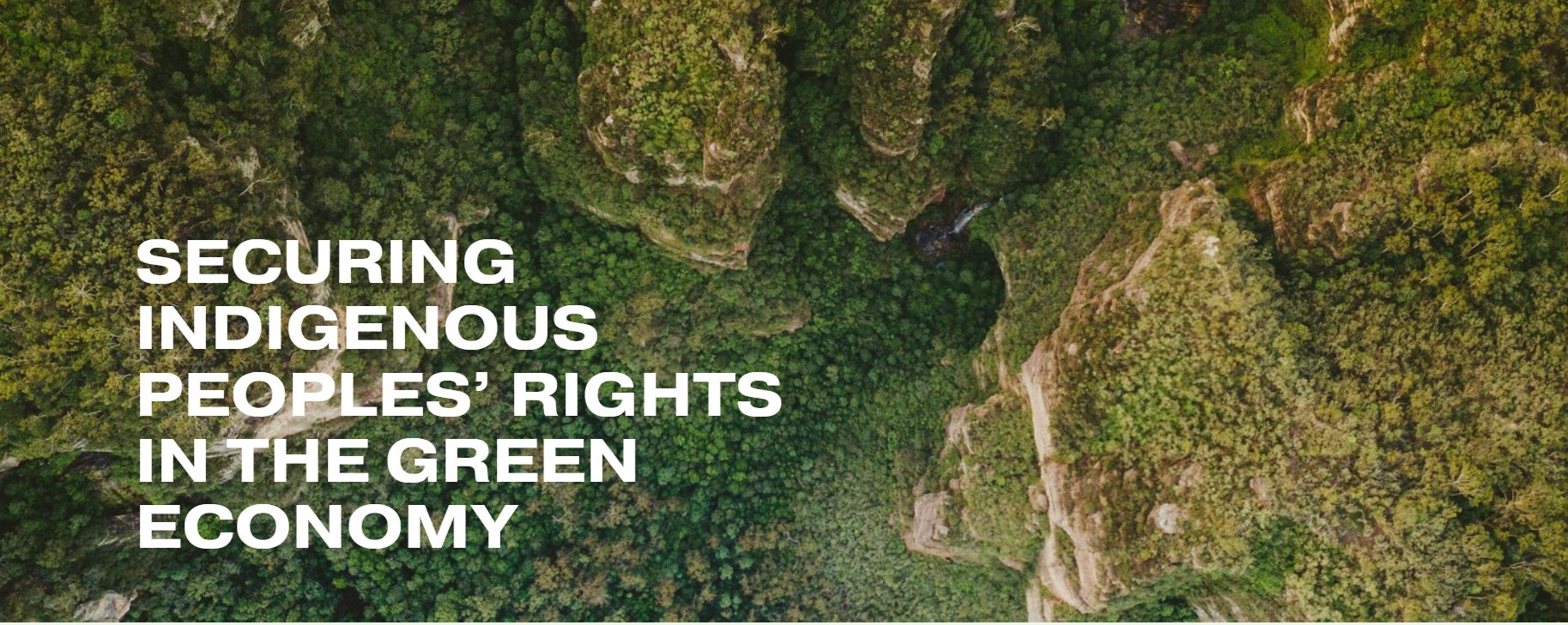 Coalition Calls for Securing Indigenous Peoples’ Rights in the ...